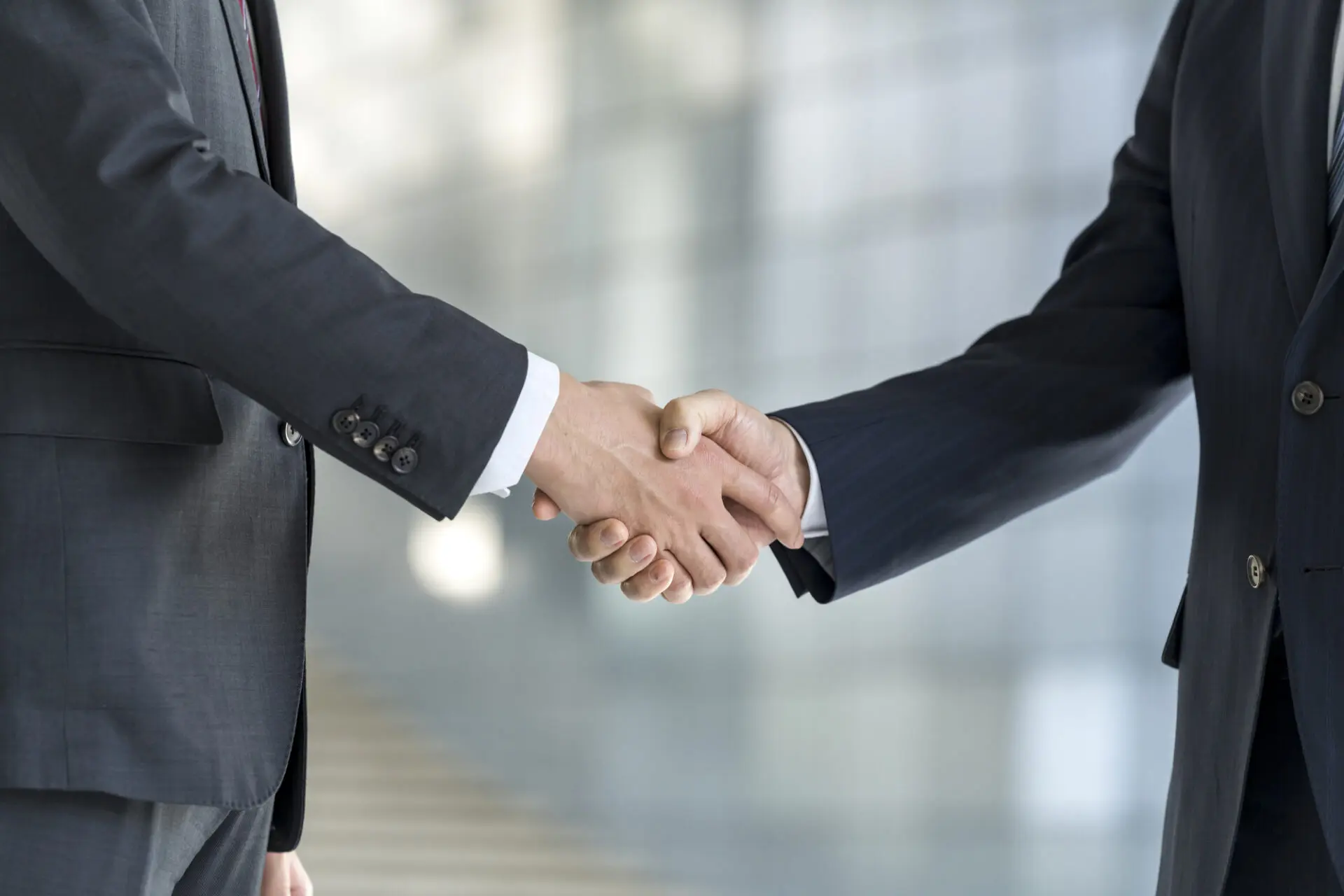 SERVICE - VIP HUMAN CONSULTING